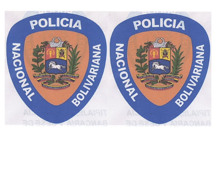 Logo PNB | PDF