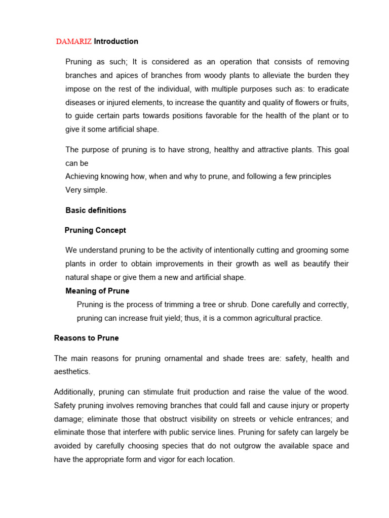 Pruning Report | Download Free PDF | Pruning | Trees