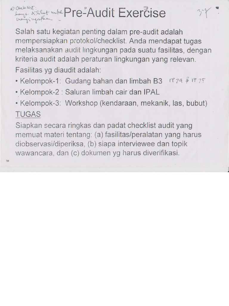 Pre-Audit Exercise | PDF