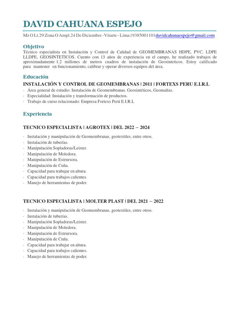 Experto en Geomembranas y Geosintéticos | PDF | Business