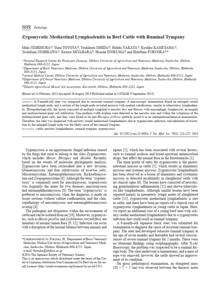 Zygomycotic Mediastinal Lymphadenitis in Beef Cattle With Ruminal ...