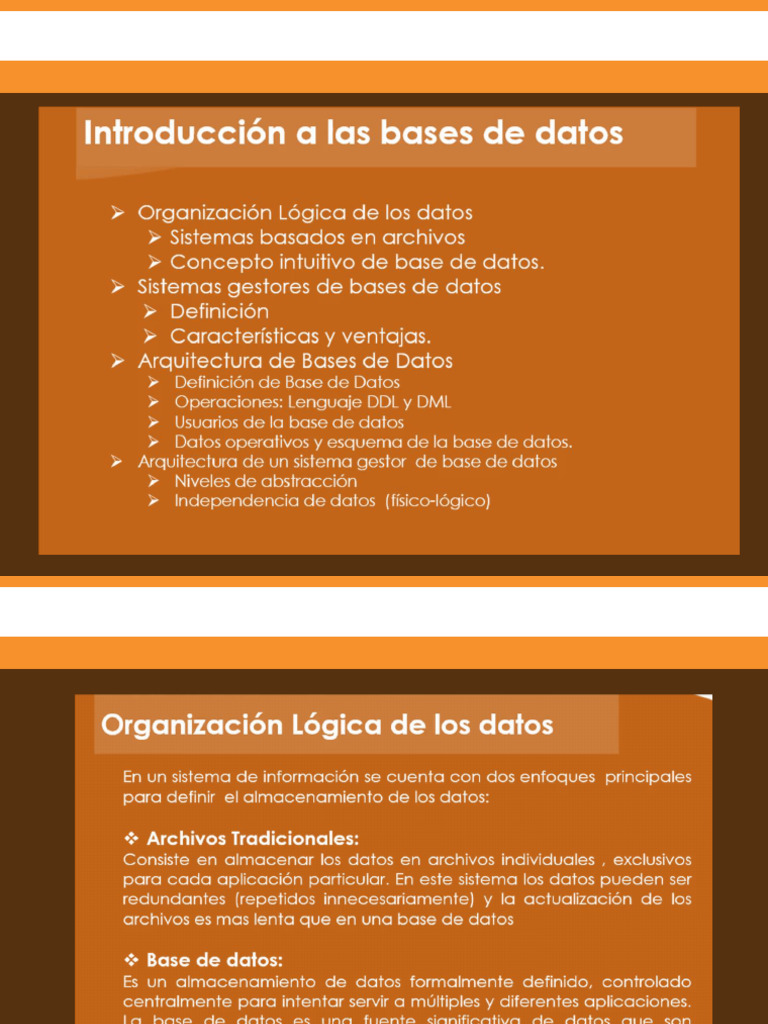 Introduccion Base de Datos | PDF