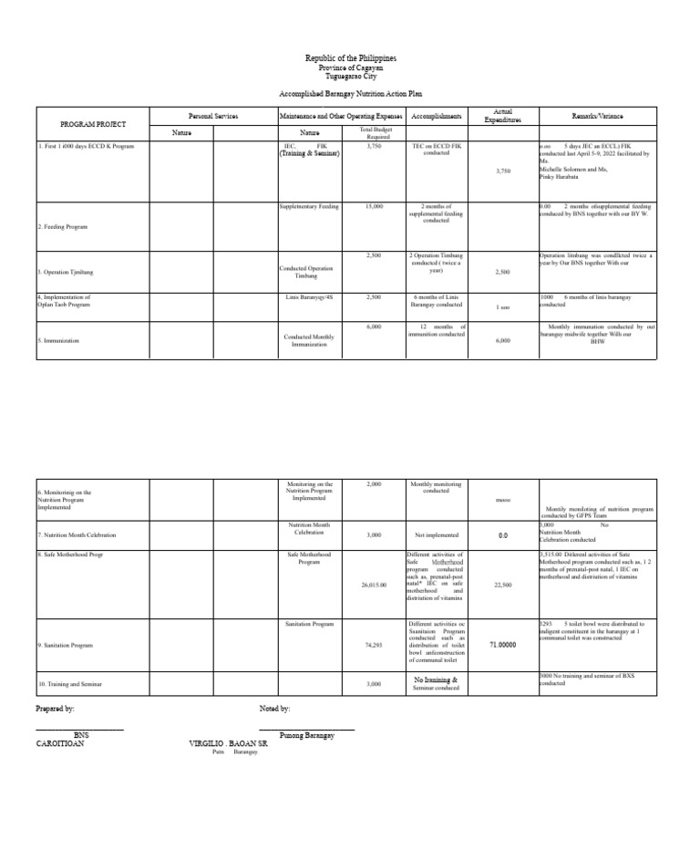 Sample Barangay Nutrition Action Plan (BNAP) | PDF | Determinants Of ...