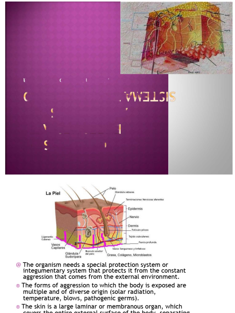14.-Nursing Care in Conditions of The Integumentary System | PDF ...