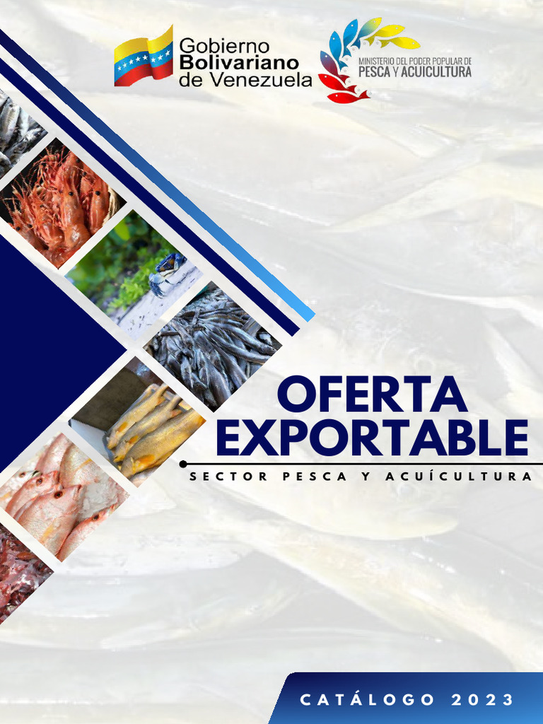 Libro Pag Comp China Espanol Oferta Compressed | PDF