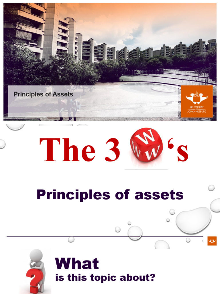 Principles of Assets Class Slides - 2020 | PDF | International ...