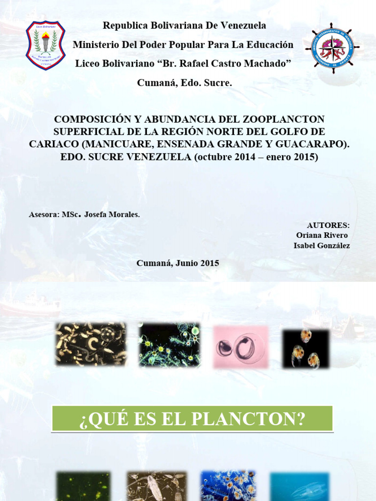 Proyecto de Oriana | PDF | Plancton | Ciencias de la Tierra