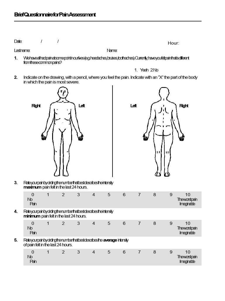 Brief Questionnaire For Pain Assessment 243 N | PDF | Pain | Emotions