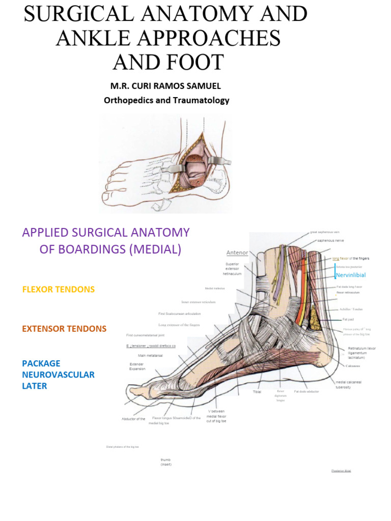 Ankle Approaches | PDF | Ankle | Human Leg