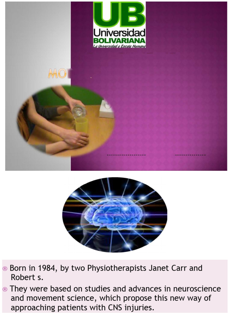 Task-Oriented Motor Relearning | PDF | Anatomical Terms Of Motion ...