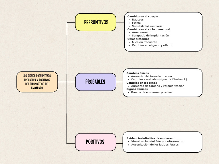 Colorful Clean Project Planning Concept Map Graph | PDF