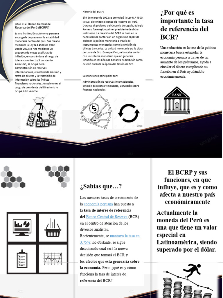 Triptico | PDF | Economias | Dinero