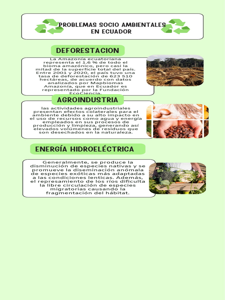 Infografía Conceptos Del Medio Ambiente Simple Verde | PDF