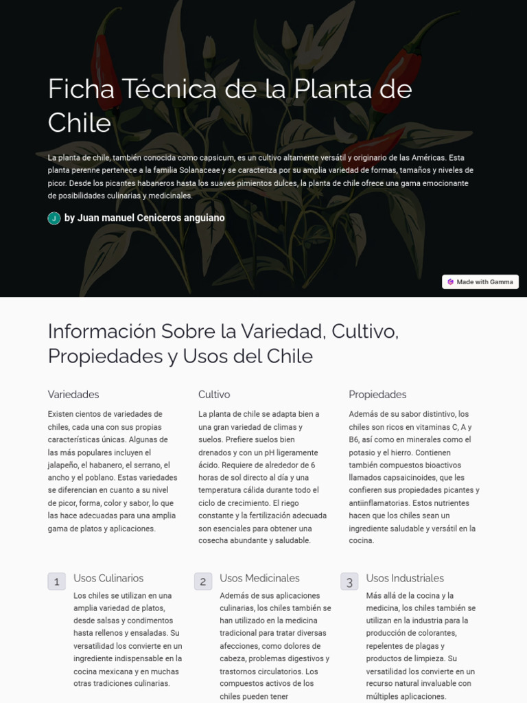Variedades y Usos de la Planta de Chile | PDF | Ají picante | Alimentos