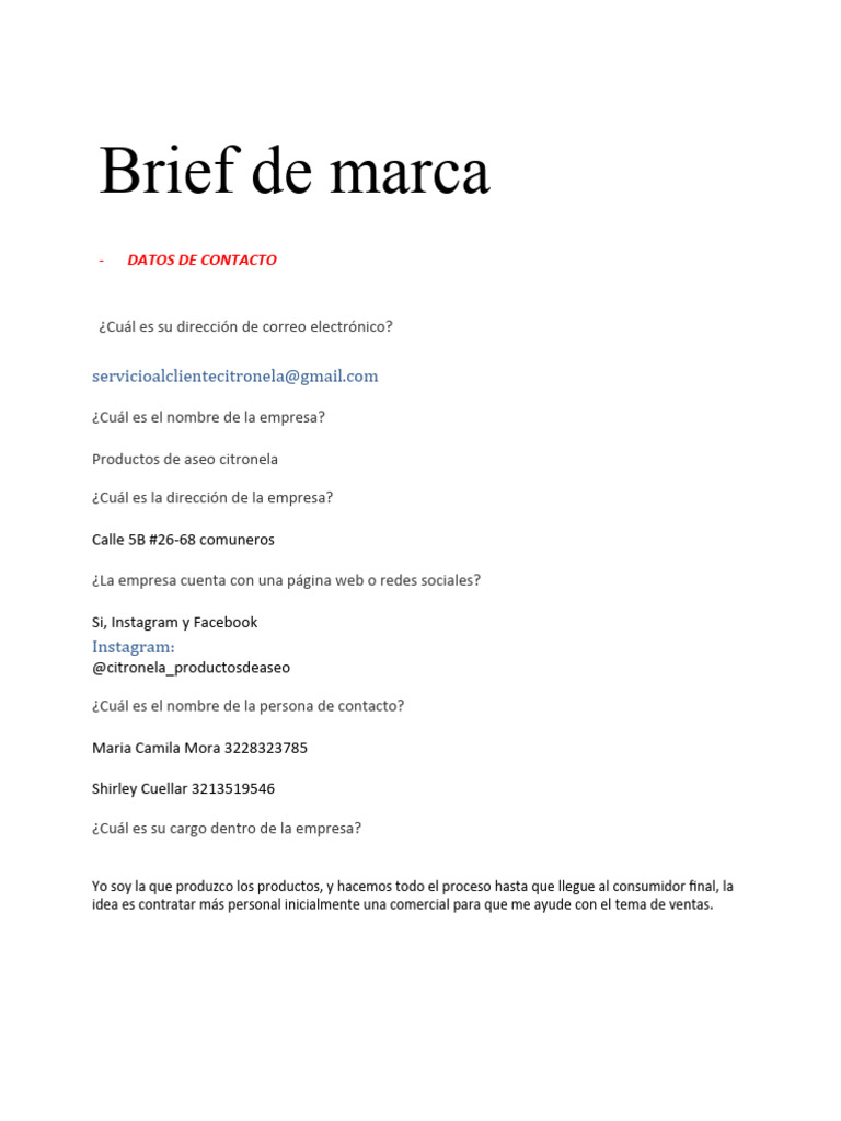 Brief Creacion de Marca Leidy Santos y Sofia Espitia | PDF | Marca | Business