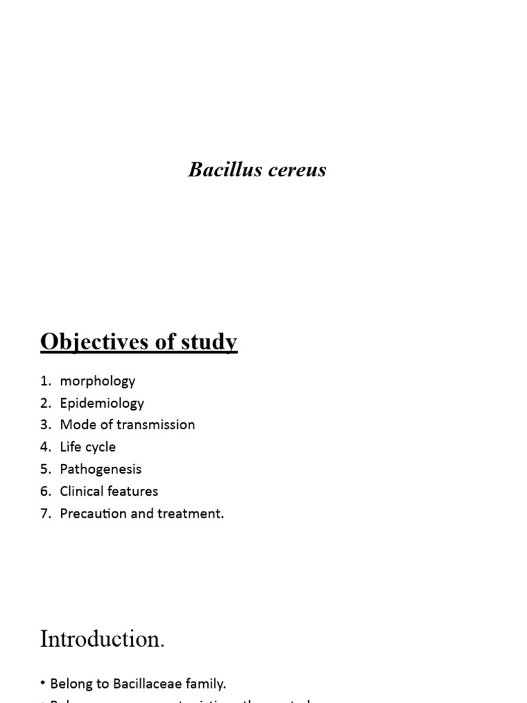 Bacillus Cereus | PDF | Bacteria | Bacillus