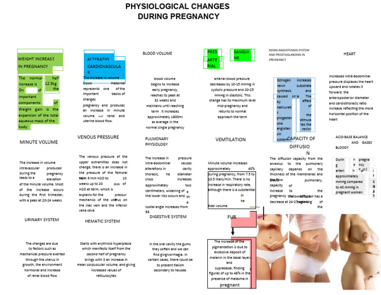Map Physiological Changes During Pregnancy | PDF | Blood Pressure | Vein
