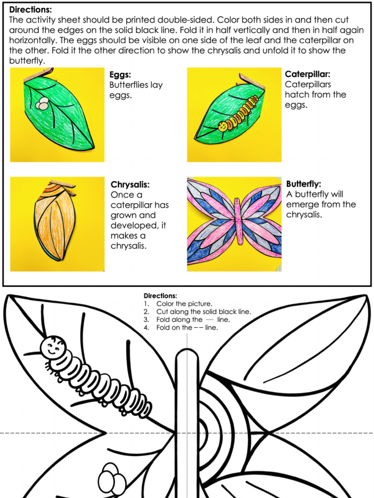 Butterfly Life Cycle Activity Page | PDF | Career & Growth | Self ...