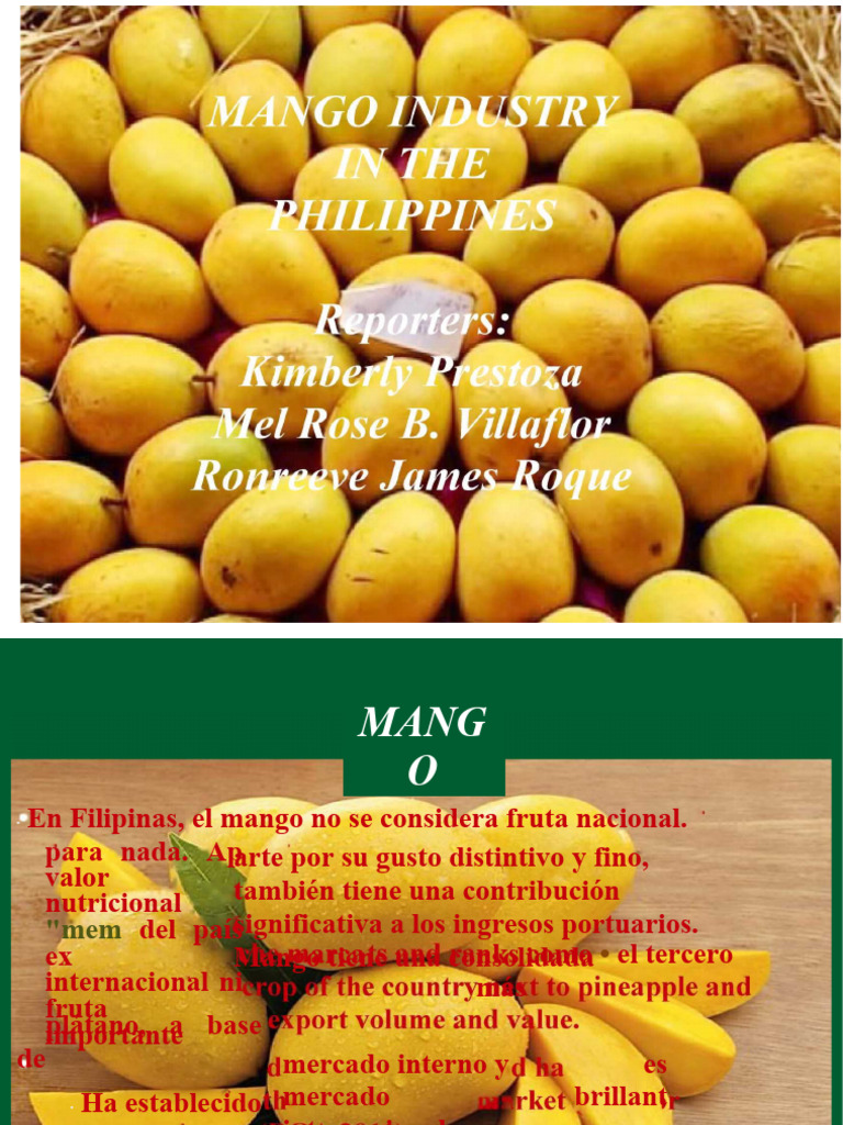 Producción de Mangos | PDF | Mango | Agricultura