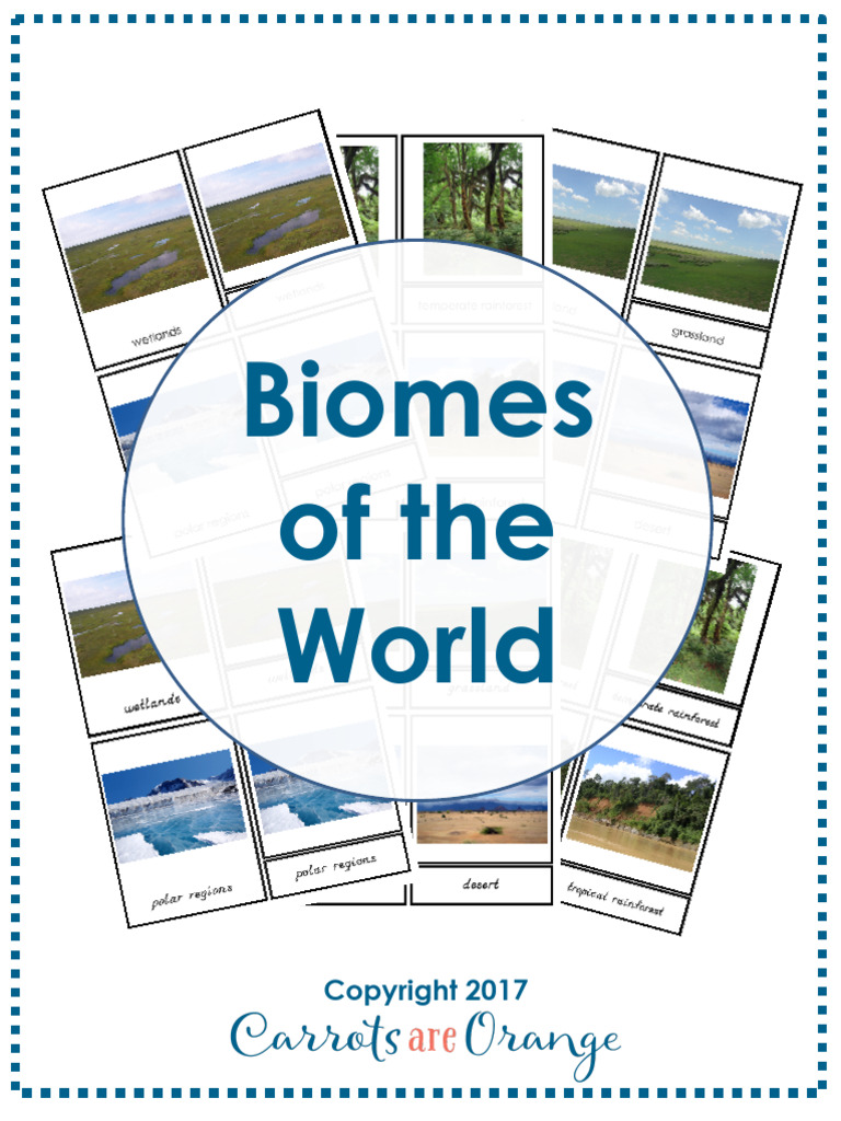 Biomes of The World & Animals of The Biomes - Carrots Are Orange | PDF ...
