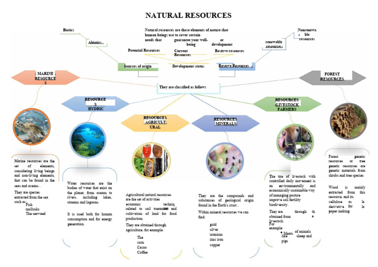 Natural Resources-Mind Map | Download Free PDF | Agriculture | Water