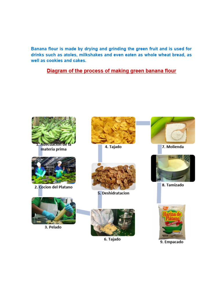 Thousand Diagram of The Production Process of Plantain Flour | PDF ...