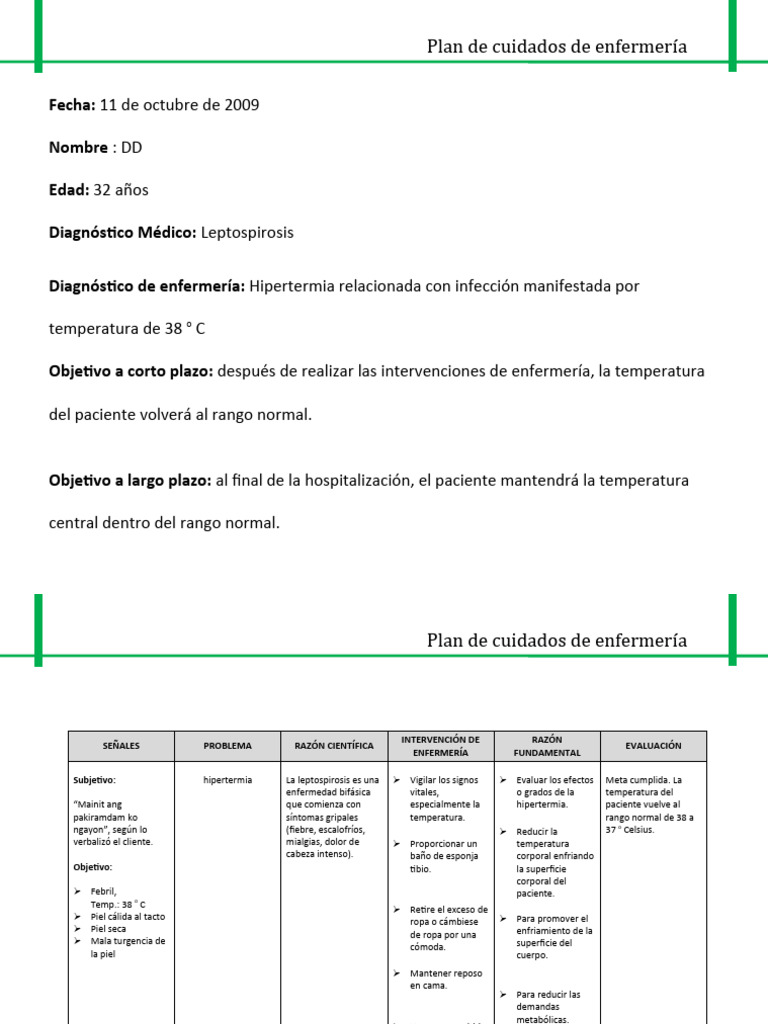 Plan de Cuidados de Enfermería | Descargar gratis PDF | Enfermería | Fiebre