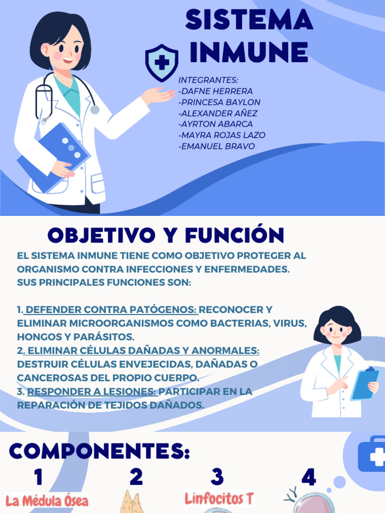 Sistema Inmune | PDF | Sistema inmune innato | Sistema inmune