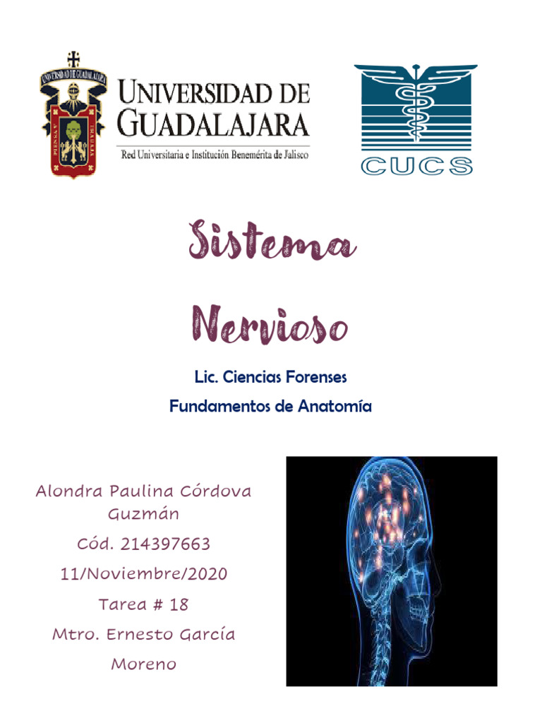 Tarea 18 | Descargar gratis PDF | Cerebro | Sistema nervioso