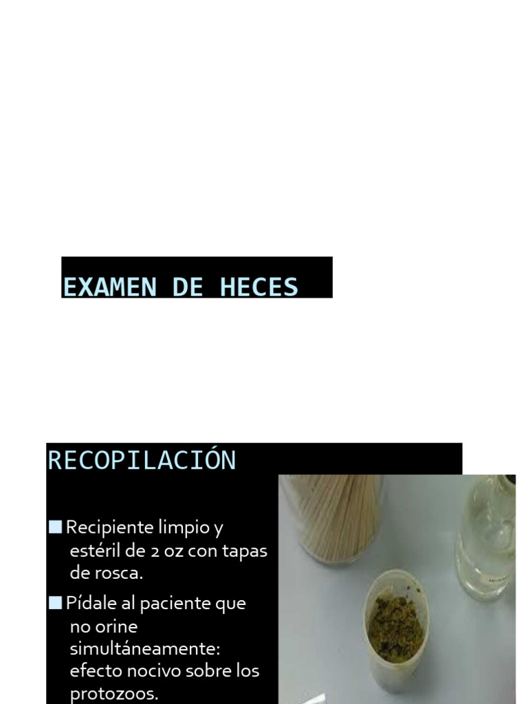 Examen de Heces | PDF | Heces | Especialidades Medicas
