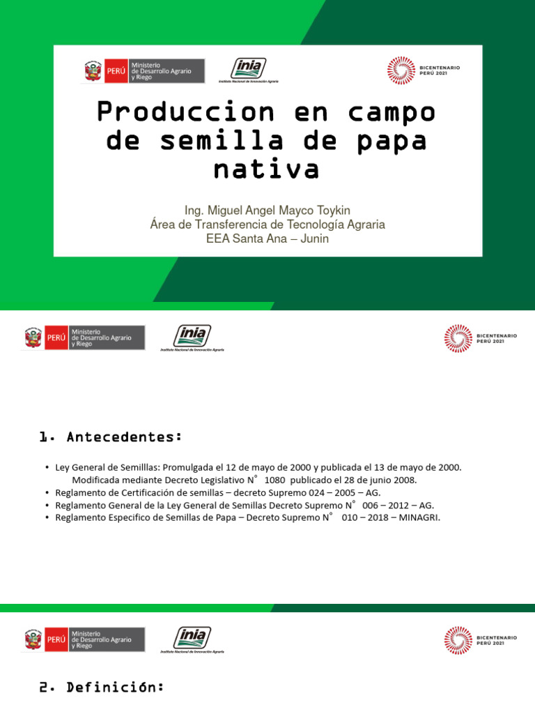 Producción de Semilla de Papa | PDF | Patata | Plantas