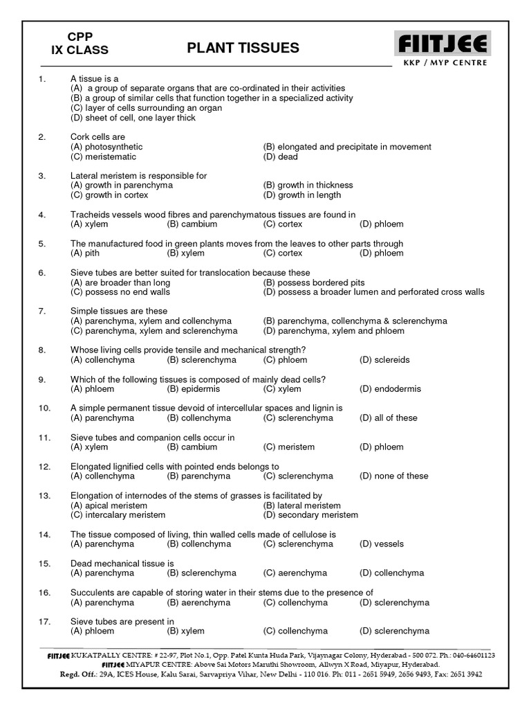 Bio Tissues | PDF | Tissue (Biology) | Biology