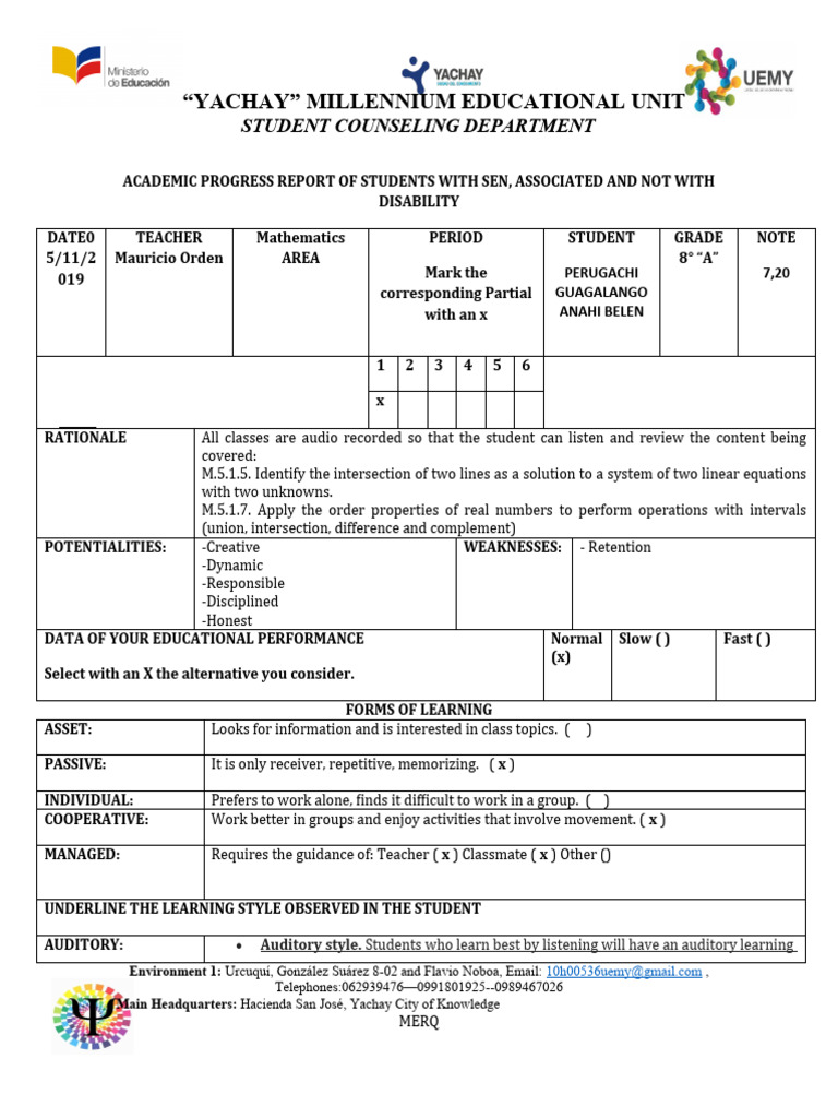 Academic Progress Report for SEN Students | PDF | Learning Styles ...