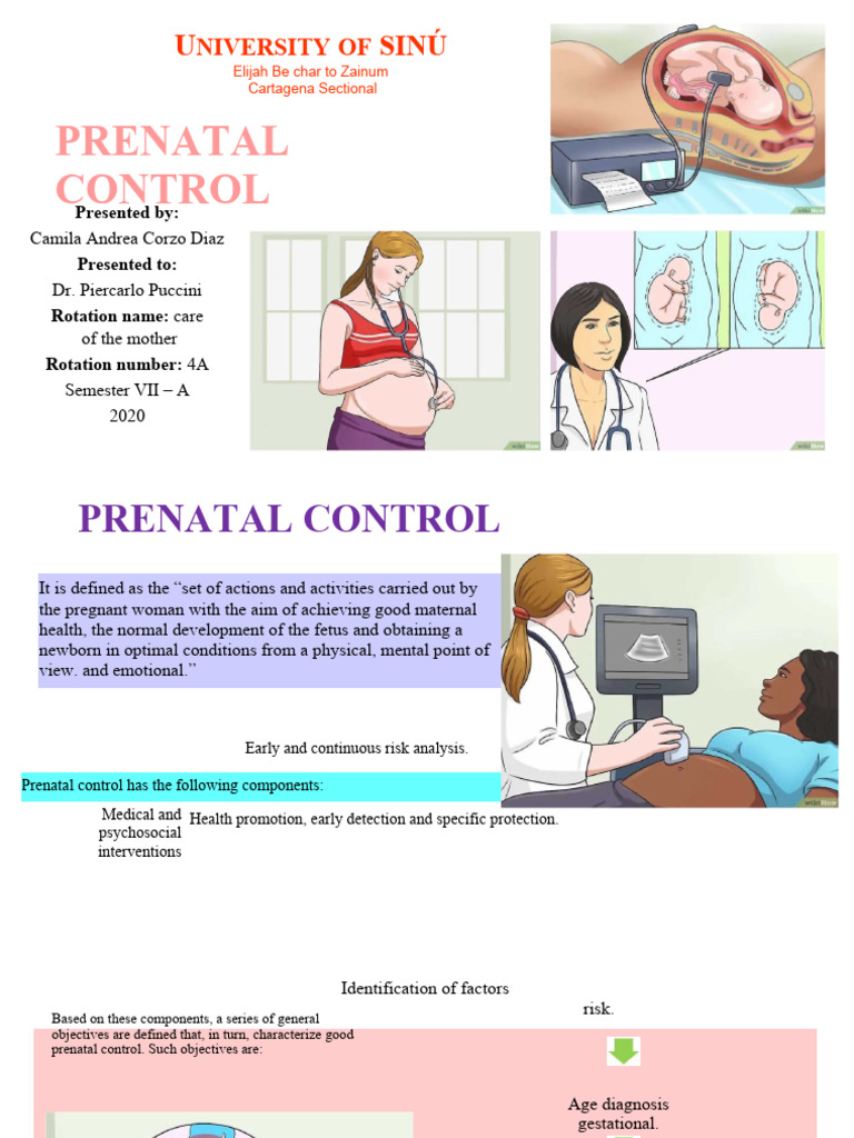 Prenatal Control | PDF | Pregnancy | Prenatal Development