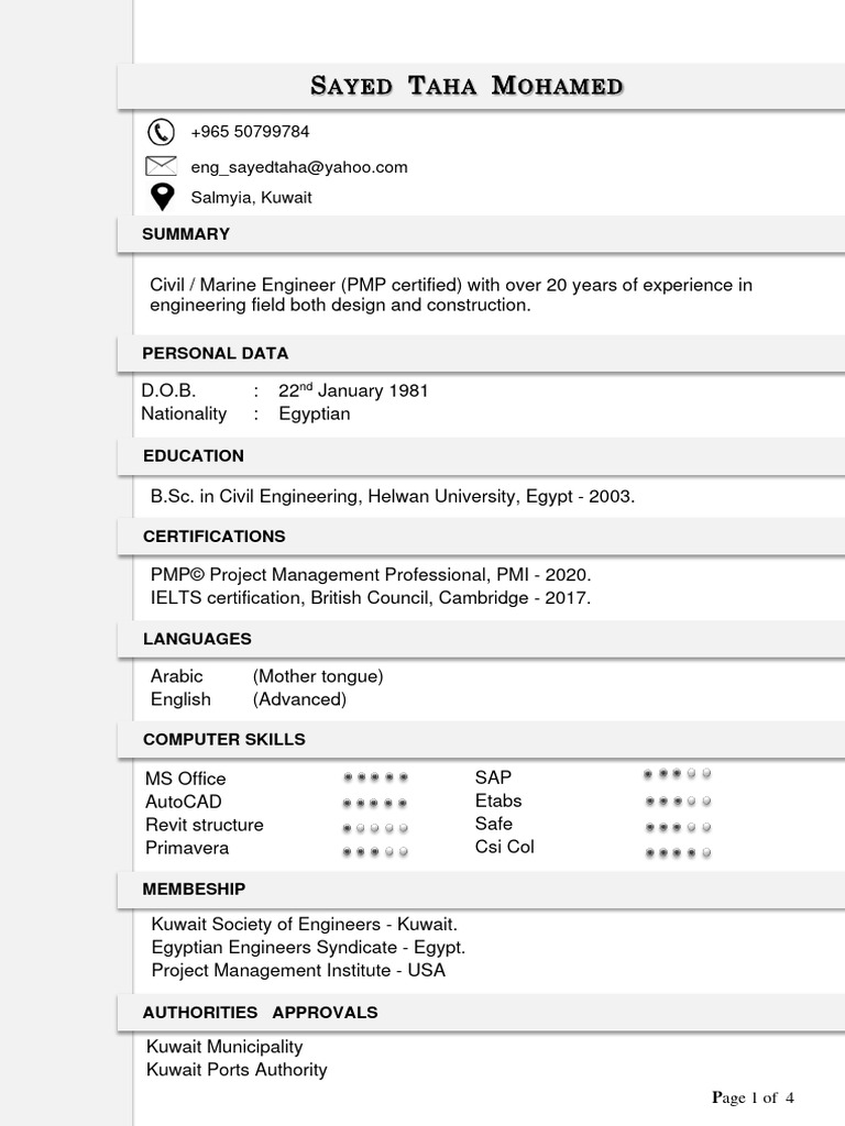 CV 2023 | PDF | Engineering