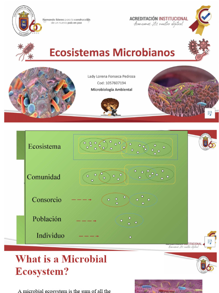 Microbial Ecosystems Exhibition | PDF | Ecosystem | Microorganism