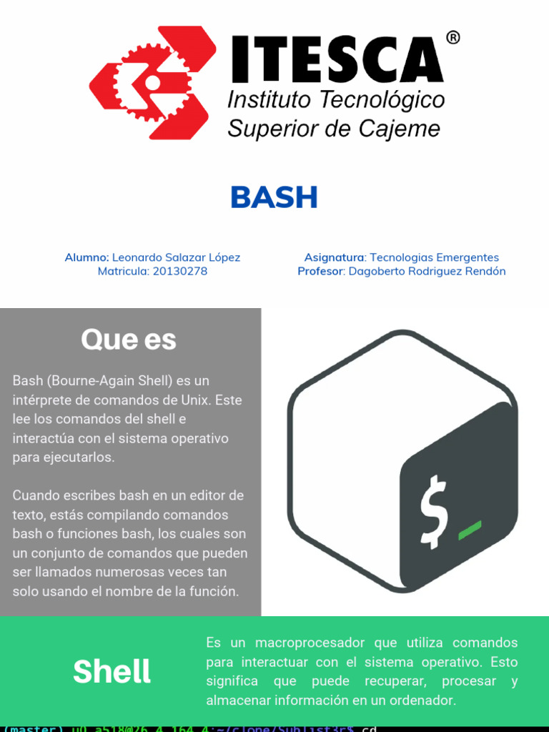 Scripts Bash: Automatización y Ejemplos | PDF | Archivo de computadora | Ingeniería Informática