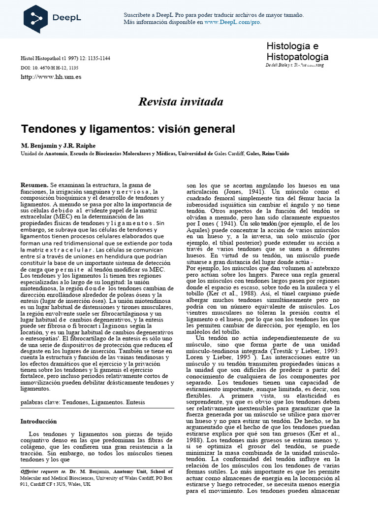 Tendones y ligamentos: estructura y función | PDF | Tendón | Articulación