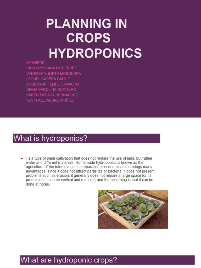 Hydroponic Crop Planning | PDF | Hydroponics | Agriculture