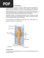 Understanding Topographical Anatomy | PDF | Anatomical Terms Of Motion | Anatomical Terms Of ...