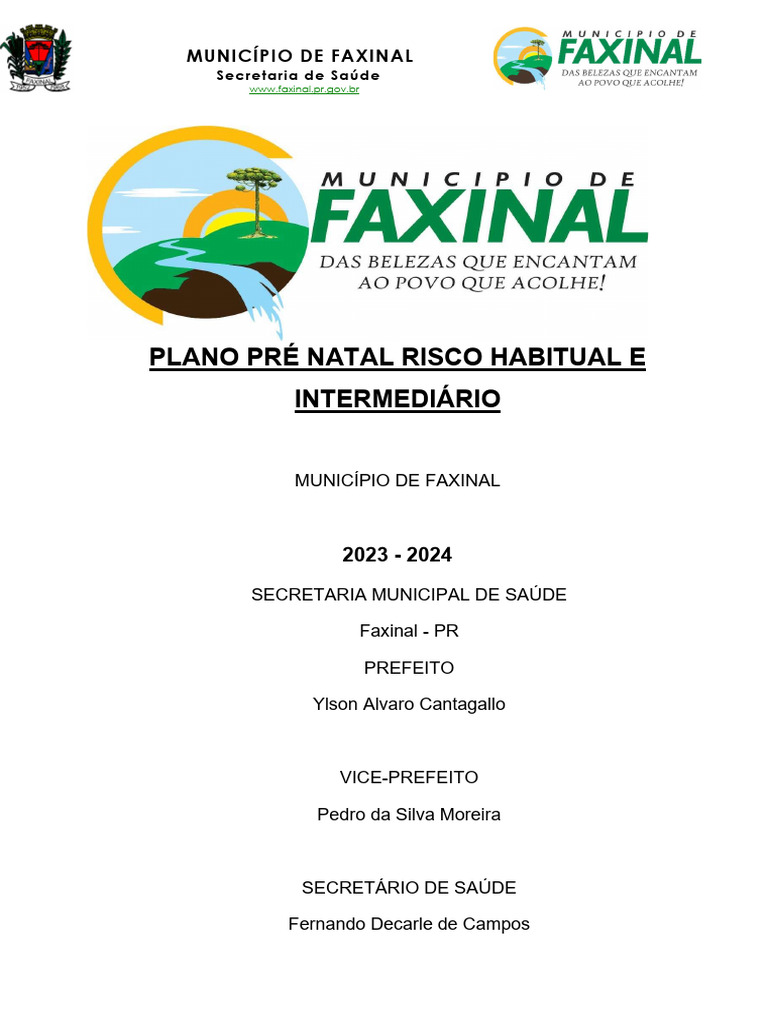 Protocolo Pré Natal | PDF | Gravidez | Hipertensão