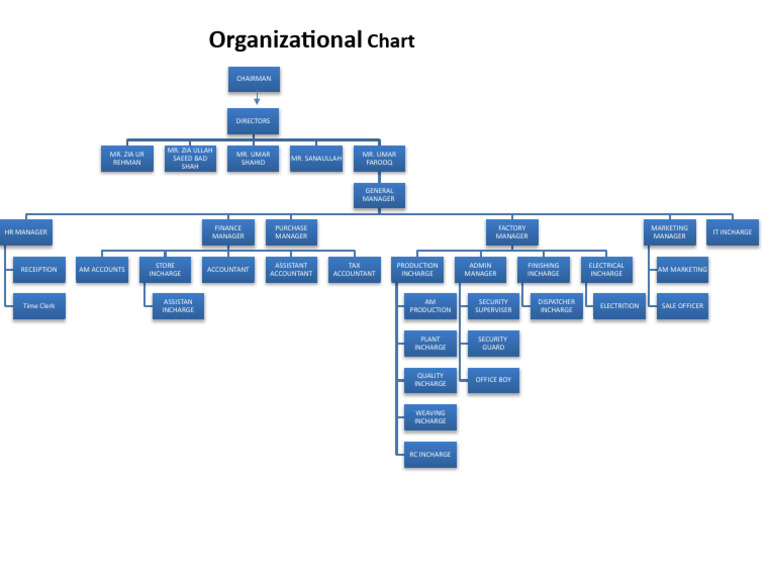 Organizational Chart | PDF