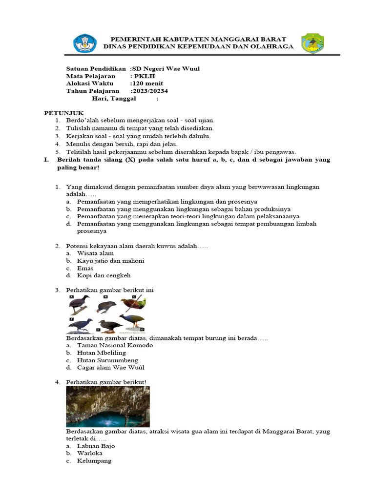 Soal Ujian Sekolah Kelas 6 | PDF