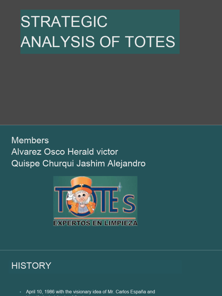 Totes Strategic Plan | PDF