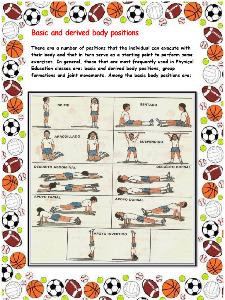Physical Education | PDF | Flexibility (Anatomy) | Force