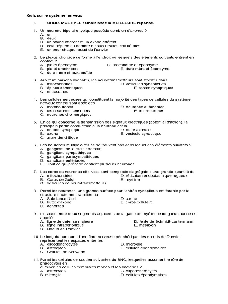 Quiz sur le système nerveux | PDF | Neurone | Axone