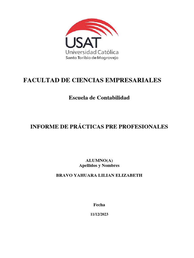 FORMATO 5 - Modelo de Informe de PPP Contabilidad | PDF | Contabilidad ...