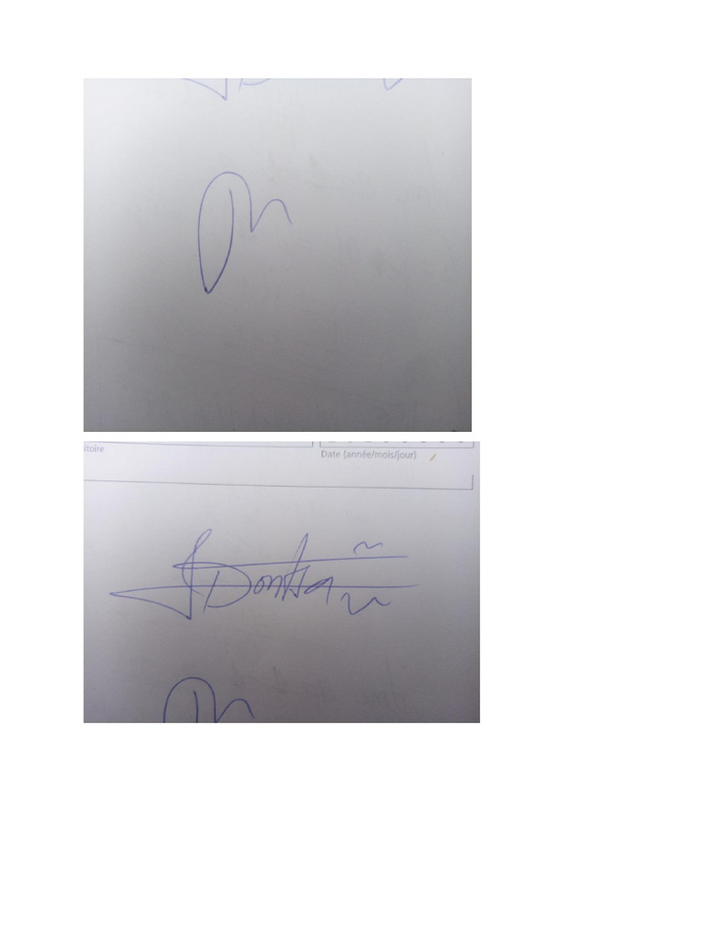 Signature Electronik - Cedric Et Dora | PDF