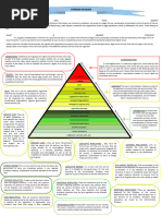 Kelsen's Pyramid of Legal Norms Explained | PDF