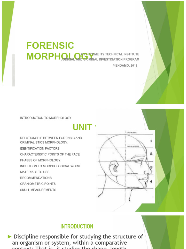 STI Forensic Morphology | Download Free PDF | Forensic Science | Face